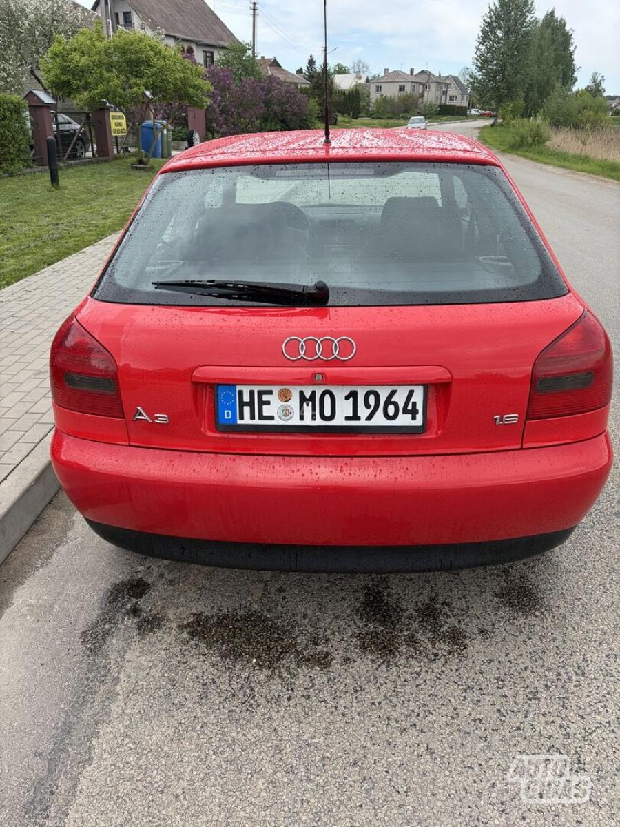 Sarkans Audi A3 1996 Lazdijai, ar dzinēja tilpumu 1.60 L un nobraukumu 144 tūkst. km par 1850 €, foto 7 vietnē AUTOMOTO.COM.LV