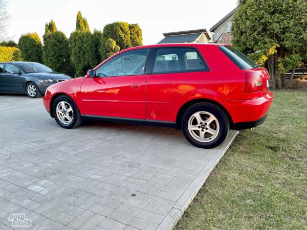 Red Audi A3 1998 in Vilnius, with an engine capacity of 1.60 L and mileage of 316 thousand km for 1500 €, photo 6 on AUTOMOTO.COM.LV