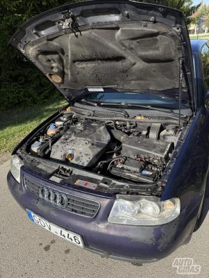 Violets Audi A3 2001 Vievis, ar dzinēja tilpumu 1.90 L un nobraukumu 290 tūkst. km par 880 €, foto 14 vietnē AUTOMOTO.COM.LV