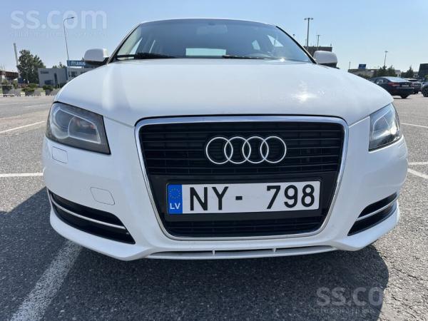 Balts Audi A3 2010 Rīga, ar dzinēja tilpumu 1.60 L un nobraukumu 0 tūkst. km par 6700 €, foto 10 vietnē AUTOMOTO.COM.LV