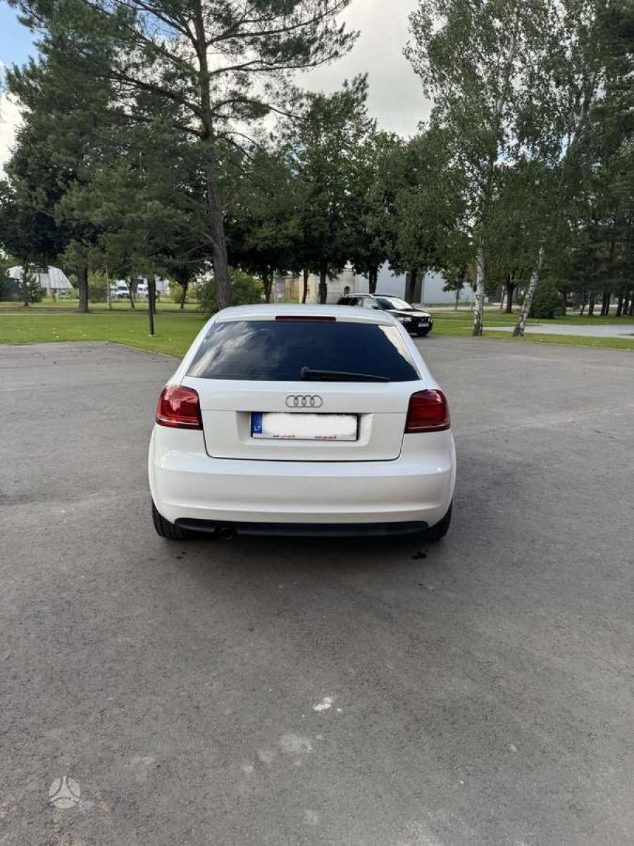 Белый Ауди А3 2010 в Паланга, объемом двигателя 1.60 л и пробегом 240 тыс. км за 3600 €, фото 8 на AUTOMOTO.COM.LV