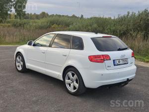 White Audi A3 2010 in Jelgava, with an engine capacity of 1.60 L and mileage of 312 thousand km for 4500 €, photo 5 on AUTOMOTO.COM.LV