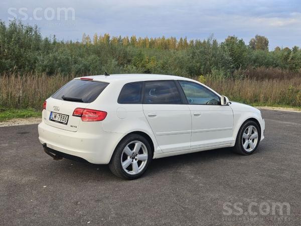 Balts Audi A3 2010 Jelgava, ar dzinēja tilpumu 1.60 L un nobraukumu 312 tūkst. km par 4500 €, foto 6 vietnē AUTOMOTO.COM.LV