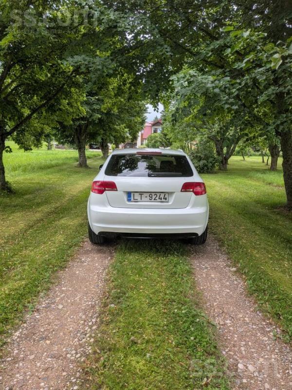 Balts Audi A3 2012 Cēsis, ar dzinēja tilpumu 1.60 L un nobraukumu 0 tūkst. km par 4850 €, foto 6 vietnē AUTOMOTO.COM.LV