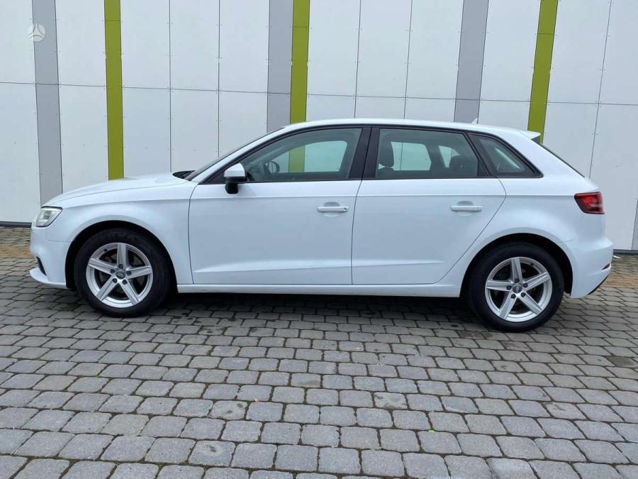 Balts Audi A3 2016 Raseiniai, ar dzinēja tilpumu 1.60 L un nobraukumu 275 tūkst. km par 8500 €, foto 9 vietnē AUTOMOTO.COM.LV