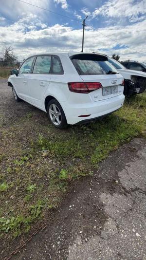 Balts Audi A3 2019 Panevēža, ar dzinēja tilpumu 1.60 L un nobraukumu 141 tūkst. km par 3650 €, foto 7 vietnē AUTOMOTO.COM.LV