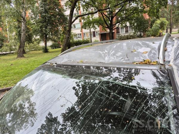Grey Audi A4 2006 in Riga, with an engine capacity of 1.90 L and mileage of 320 thousand km for 1200 €, photo 5 on AUTOMOTO.COM.LV