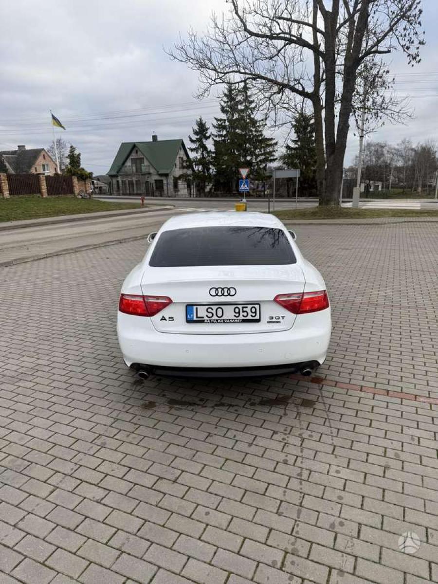 Balts Audi A5 2009 Marijampole, ar dzinēja tilpumu 2.97 L un nobraukumu 300 tūkst. km par 5000 €, foto 6 vietnē AUTOMOTO.COM.LV
