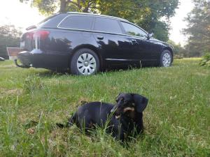 Black Audi A6 2008 in Kaunas, with an engine capacity of 1.97 L and mileage of 301 thousand km for 3100 €, photo 3 on AUTOMOTO.COM.LV