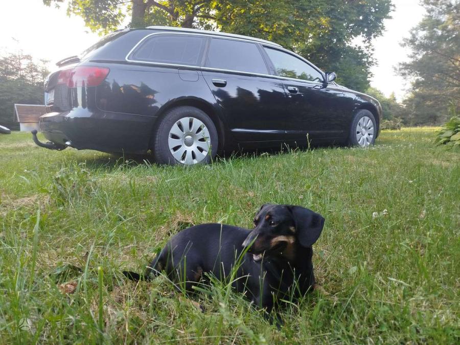 Black Audi A6 2008 in Kaunas, with an engine capacity of 1.97 L and mileage of 301 thousand km for 3100 €, photo 3 on AUTOMOTO.COM.LV