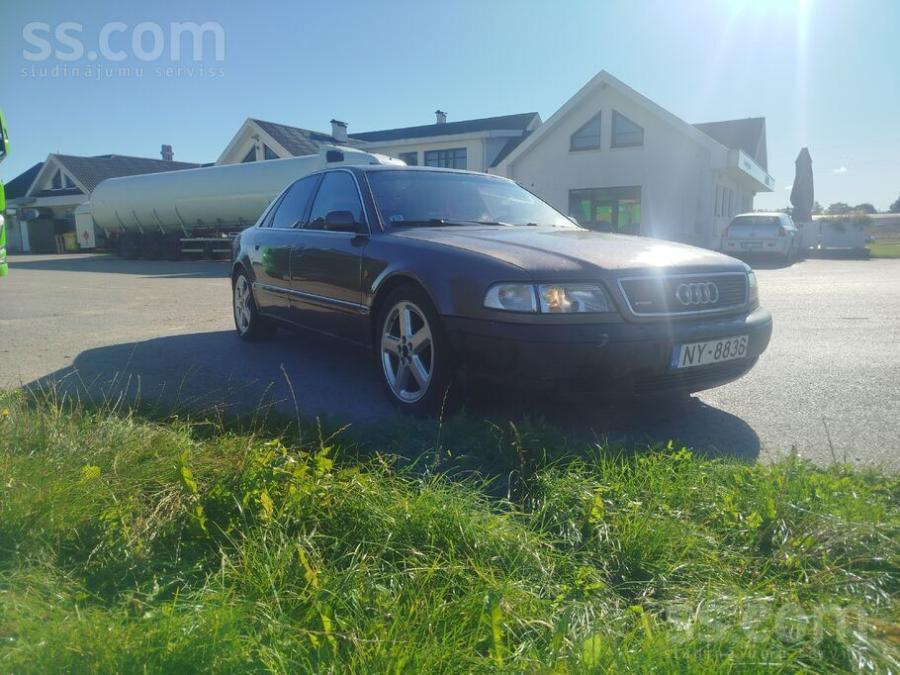 Brūns Audi A8 1995 Saldus, ar dzinēja tilpumu 4.20 L un nobraukumu 0 tūkst. km par 2500 €, foto 2 vietnē AUTOMOTO.COM.LV