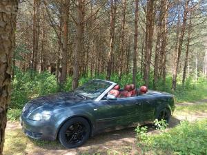 Pelēks Audi Cabriolet 2002 Rīga, ar dzinēja tilpumu 2.40 L un nobraukumu 0 tūkst. km par 4800 €, foto 13 vietnē AUTOMOTO.COM.LV