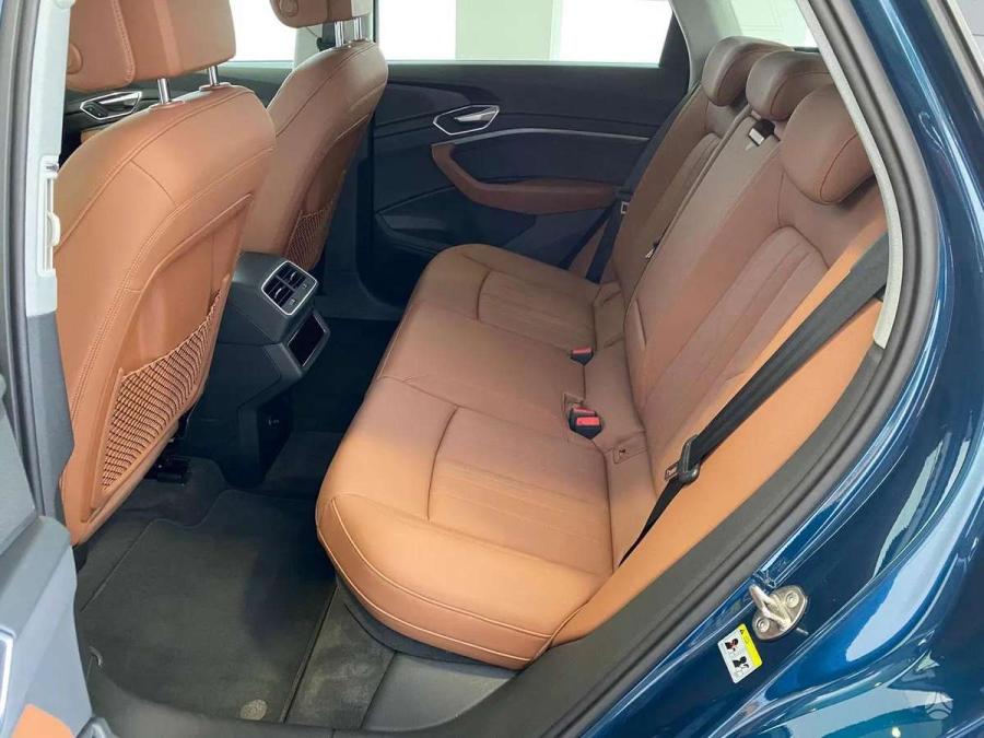 Zils Audi E-Tron 2019 Viļņa, ar dzinēja tilpumu 0.00 L un nobraukumu 179 tūkst. km par 21500 €, foto 18 vietnē AUTOMOTO.COM.LV