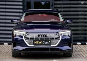 Синий Ауди E-Tron 2022 в Плунге, объемом двигателя 0.00 л и пробегом 115 тыс. км за 27900 €, фото 9 на AUTOMOTO.COM.LV