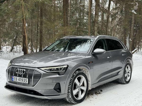 Grey Audi E-Tron 2020 in Mazeikiai, with an engine capacity of 0.00 L and mileage of 106 thousand km for 16500 €, photo 10 on AUTOMOTO.COM.LV