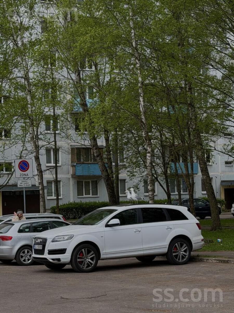 Balts Audi Q7 2009 Rīga, ar dzinēja tilpumu 3.00 L un nobraukumu 305 tūkst. km par 10500 €, foto 12 vietnē AUTOMOTO.COM.LV