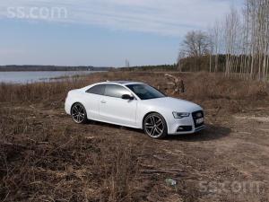Balts Audi S5 2016 Daugavpils, ar dzinēja tilpumu 3.00 L un nobraukumu 230 tūkst. km par 16500 €, foto 6 vietnē AUTOMOTO.COM.LV