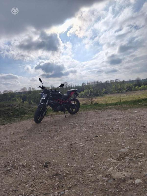 Benelli BN 125 2021 in Kursenai, with an engine capacity of 0.13 L and mileage of 3 thousand km for 1900 €, photo 4 on AUTOMOTO.COM.LV