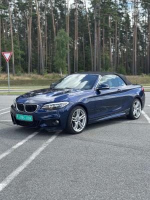 Zils BMW 228 2015 Rīga, ar dzinēja tilpumu 2.00 L un nobraukumu 123 tūkst. km par 14900 €, foto 19 vietnē AUTOMOTO.COM.LV