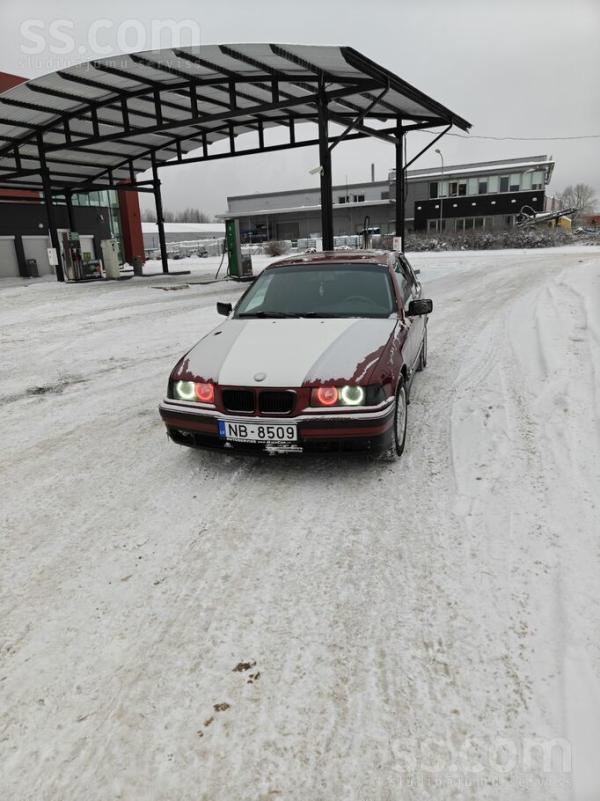 Red BMW 316 1997 in Dobele, with an engine capacity of 1.60 L and mileage of 330 thousand km for 1999 €, photo 1 on AUTOMOTO.COM.LV