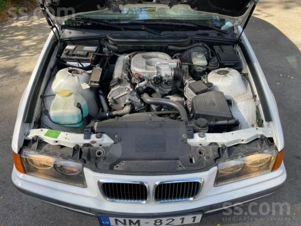 Balts BMW 316 1997 Rīga, ar dzinēja tilpumu 1.60 L un nobraukumu 222 tūkst. km par 1200 €, foto 6 vietnē AUTOMOTO.COM.LV