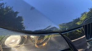 Black BMW 320 2007 in Vilnius, with an engine capacity of 2.00 L and mileage of 275 thousand km for 4800 €, photo 11 on AUTOMOTO.COM.LV