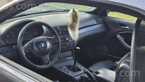 Pelēks BMW 320 2005 Jēkabpils, ar dzinēja tilpumu 2.00 L un nobraukumu 310 tūkst. km par 6500 €, foto 6 vietnē AUTOMOTO.COM.LV