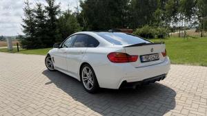 Белый БМВ 420 Gran Coupe 2014 в Электренай, объемом двигателя 2.00 л и пробегом 189 тыс. км за 16300 €, фото 15 на AUTOMOTO.COM.LV