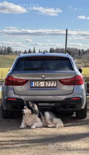 БМВ 520 2018 в Добеле, объемом двигателя 2.00 л и пробегом 0 тыс. км за 15990 €, фото 3 на AUTOMOTO.COM.LV