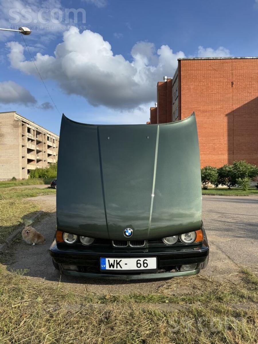 Zaļš BMW 530 1988 Daugavpils, ar dzinēja tilpumu 3.00 L un nobraukumu 310 tūkst. km par 7250 €, foto 30 vietnē AUTOMOTO.COM.LV