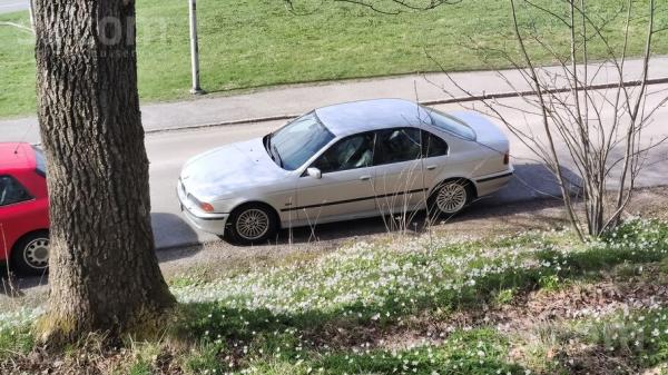 BMW 530 1998 Rīga, ar dzinēja tilpumu 3.00 L un nobraukumu 308 tūkst. km par 1752 €, foto 1 vietnē AUTOMOTO.COM.LV
