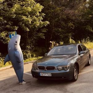 Zils BMW 735 2001 Klaipėda, ar dzinēja tilpumu 3.60 L un nobraukumu 270 tūkst. km par 2500 €, foto  vietnē AUTOMOTO.COM.LV