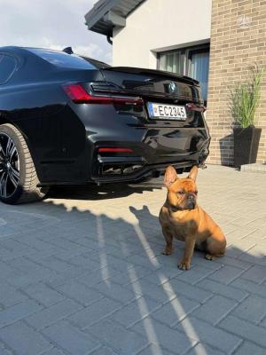 Black BMW 745 2020 in Klaipeda, with an engine capacity of 3.00 L and mileage of 93 thousand km for 42999 €, photo 17 on AUTOMOTO.COM.LV