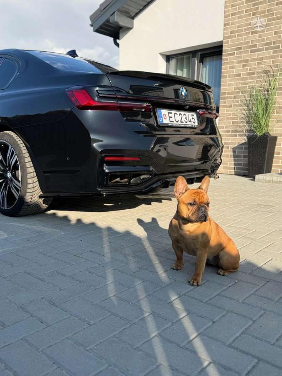 Black BMW 745 2020 in Klaipeda, with an engine capacity of 3.00 L and mileage of 93 thousand km for 42999 €, photo 17 on AUTOMOTO.COM.LV