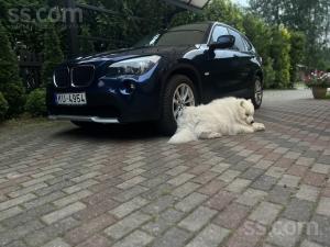 Zils BMW X1 2011 Rīga, ar dzinēja tilpumu 2.00 L un nobraukumu 233 tūkst. km par 7200 €, foto  vietnē AUTOMOTO.COM.LV