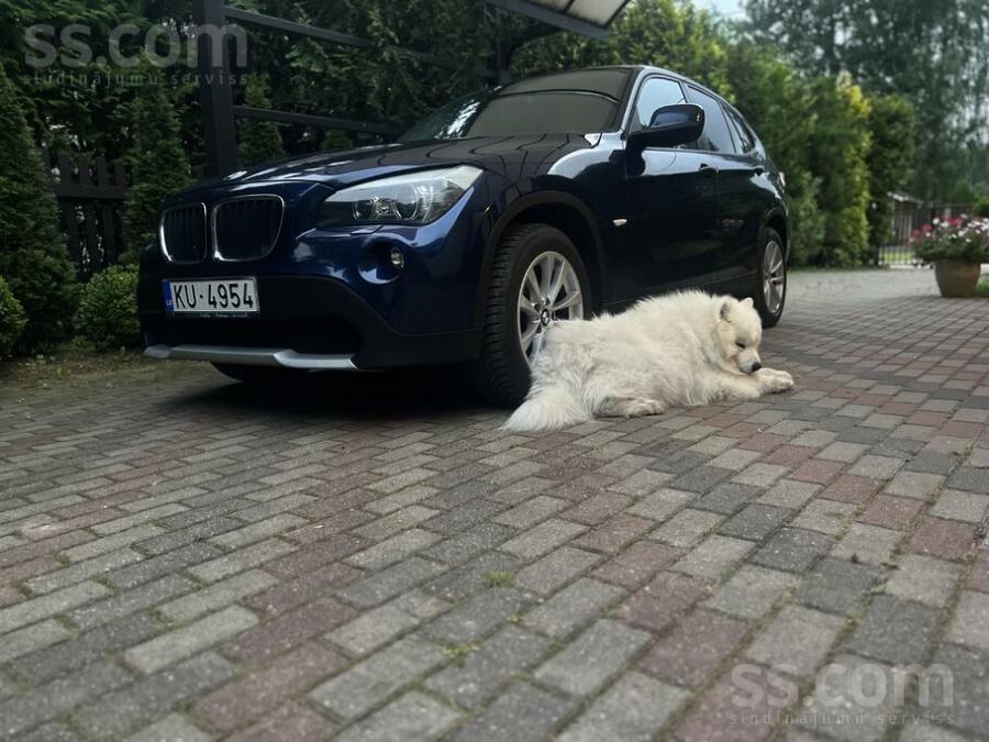 Zils BMW X1 2011 Rīga, ar dzinēja tilpumu 2.00 L un nobraukumu 233 tūkst. km par 7200 €, foto 1 vietnē AUTOMOTO.COM.LV