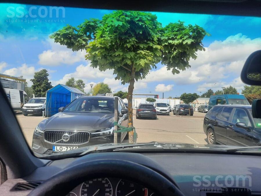Black BMW X5 2006 in Riga, with an engine capacity of 3.00 L and mileage of 374 thousand km for 3500 €, photo 10 on AUTOMOTO.COM.LV