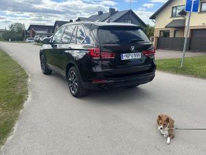 Brūns BMW X5 2016 Kauņa, ar dzinēja tilpumu 2.00 L un nobraukumu 200 tūkst. km par 17999 €, foto 11 vietnē AUTOMOTO.COM.LV