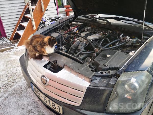 Zils Cadillac CTS 2003 Krāslava, ar dzinēja tilpumu 2.60 L un nobraukumu 322 tūkst. km par 1500 €, foto 1 vietnē AUTOMOTO.COM.LV