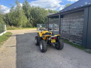 Dzeltens Can-Am Renegade 2008 Kauņa, ar dzinēja tilpumu 0.80 L un nobraukumu 8 tūkst. km par 5999 €, foto 5 vietnē AUTOMOTO.COM.LV