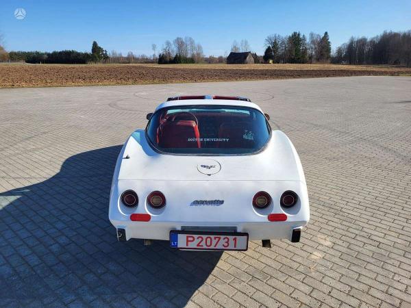Balts Chevrolet Corvette 1979 Biržai, ar dzinēja tilpumu 5.70 L un nobraukumu 86 tūkst. km par 12000 €, foto 5 vietnē AUTOMOTO.COM.LV