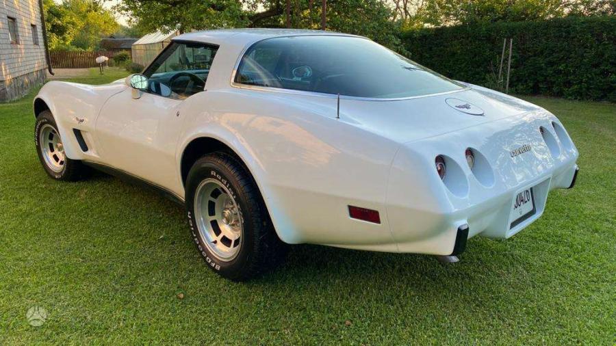 Balts Chevrolet Corvette 1979 Viļņa, ar dzinēja tilpumu 5.70 L un nobraukumu 141 tūkst. km par 19000 €, foto 13 vietnē AUTOMOTO.COM.LV