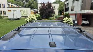 Zils Chrysler town-&-country 2012 Klaipėda, ar dzinēja tilpumu 3.60 L un nobraukumu 267 tūkst. km par 5900 €, foto 18 vietnē AUTOMOTO.COM.LV