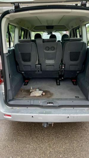 Pelēks Citroen Jumpy 2014 Telšiai, ar dzinēja tilpumu 2.00 L un nobraukumu 259 tūkst. km par 5500 €, foto 18 vietnē AUTOMOTO.COM.LV