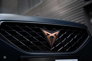 Синий Cupra Formentor 2022 в Вильнюс, объемом двигателя 1.40 л и пробегом 51 тыс. км за 25900 €, фото 19 на AUTOMOTO.COM.LV