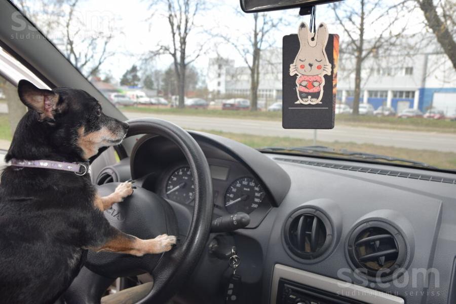 Dacia Logan 2008 in Riga, with an engine capacity of 1.60 L and mileage of 148 thousand km for 950 €, photo 7 on AUTOMOTO.COM.LV