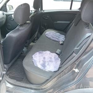 Pelēks Dacia Sandero 2010 Rīga, ar dzinēja tilpumu 1.50 L un nobraukumu 267 tūkst. km par 3100 €, foto 6 vietnē AUTOMOTO.COM.LV