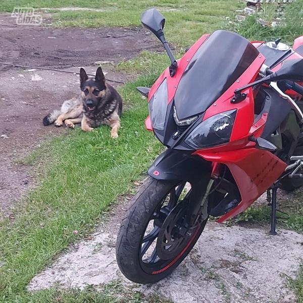 Derbi GPR 2011 Raseiniai, ar dzinēja tilpumu 0.13 L un nobraukumu 0 tūkst. km par 1540 €, foto 3 vietnē AUTOMOTO.COM.LV