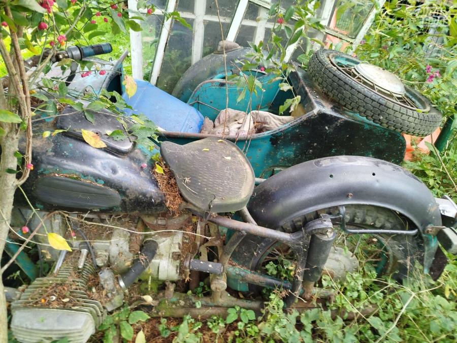 Dnepr K 650 1977 Viļņa, ar dzinēja tilpumu 0.00 L un nobraukumu 0 tūkst. km par 400 €, foto 3 vietnē AUTOMOTO.COM.LV