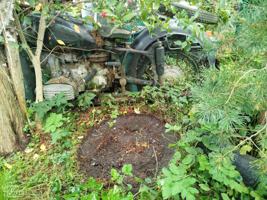 Dnepr K 650 1977 Viļņa, ar dzinēja tilpumu 0.00 L un nobraukumu 0 tūkst. km par 400 €, foto 6 vietnē AUTOMOTO.COM.LV